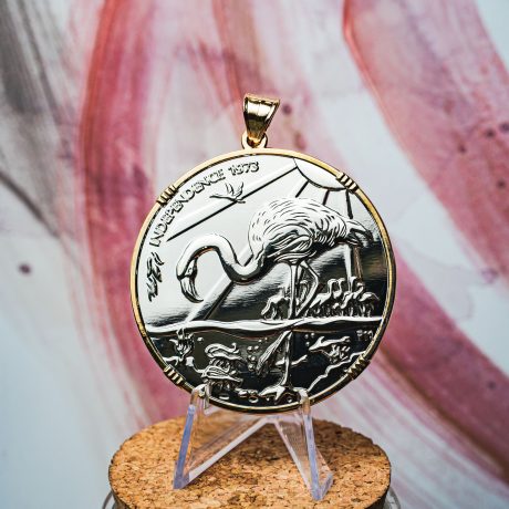 Coin Chains & Pendants – Sierra Jewelss